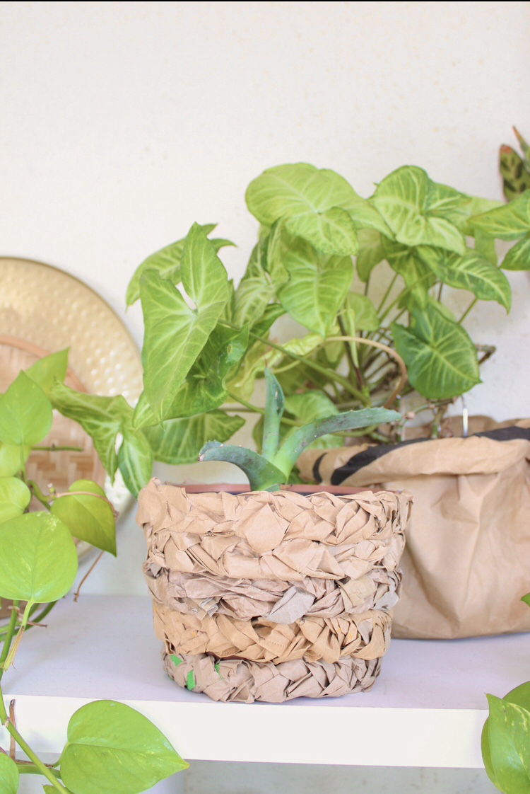 DIY & Cache-pot en papier (récup’) – Loïcia Itréma